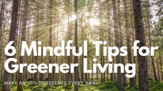 Six Mindful Tips for Greener Living – Teal N Bronze